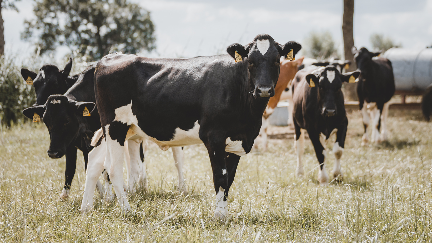 BOERENBELEEFDAG | Visit Heerde